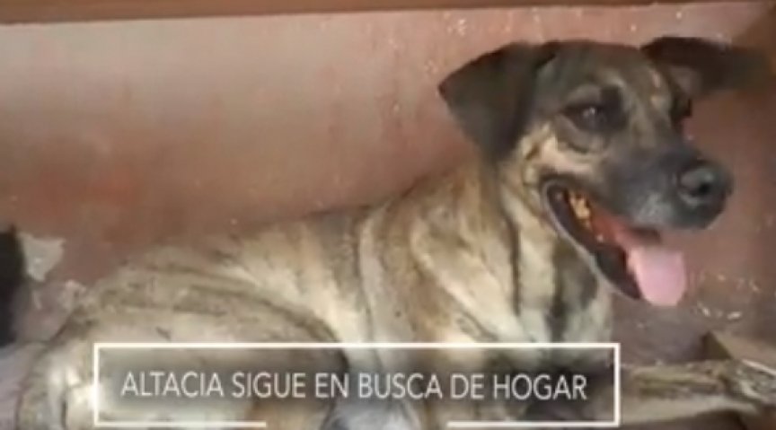 Jornalista interrompe sua transmissão ao vivo e corre entre os carros ...